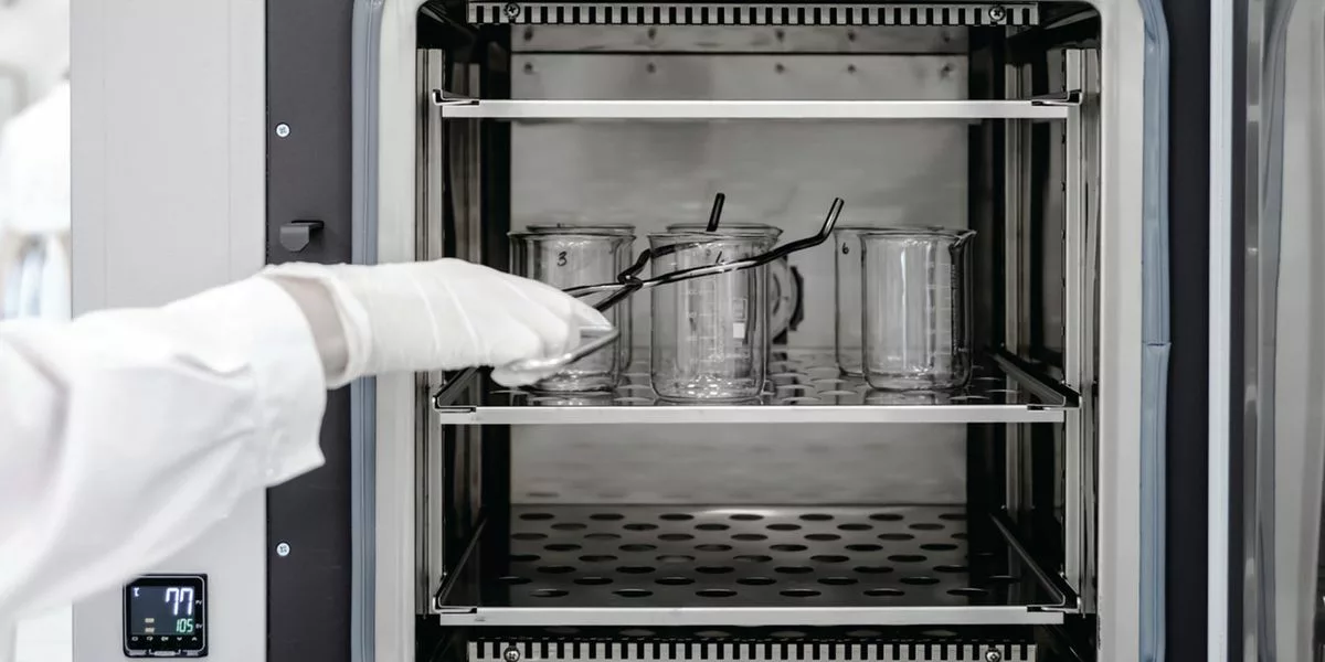 Laboratory Ovens: Comprehensive Guide to Types, Uses, and Maintenance ...